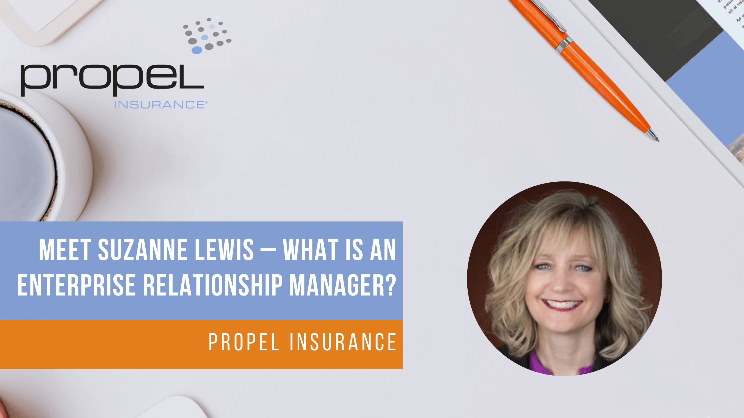 Meet Suzanne Lewis – What Is An Enterprise Relationship Manager ...
